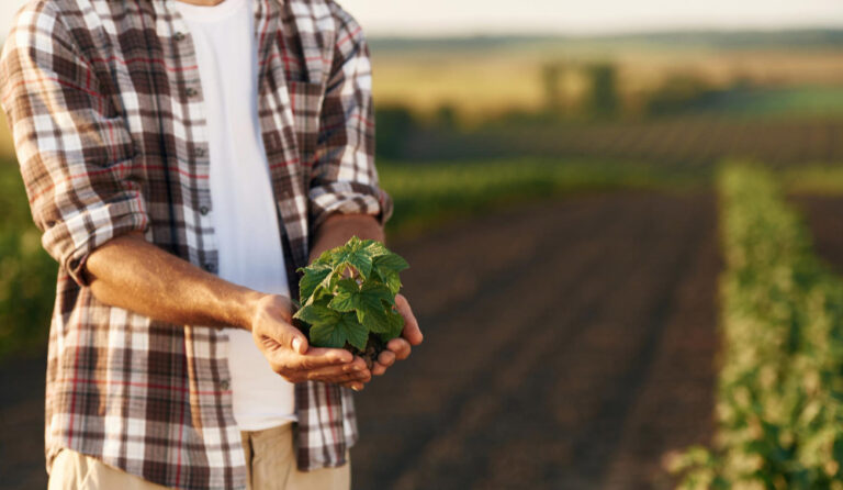 Cálculo de reducciones en el Sistema Agrario en el 2025 | Nóminas Agrisoft